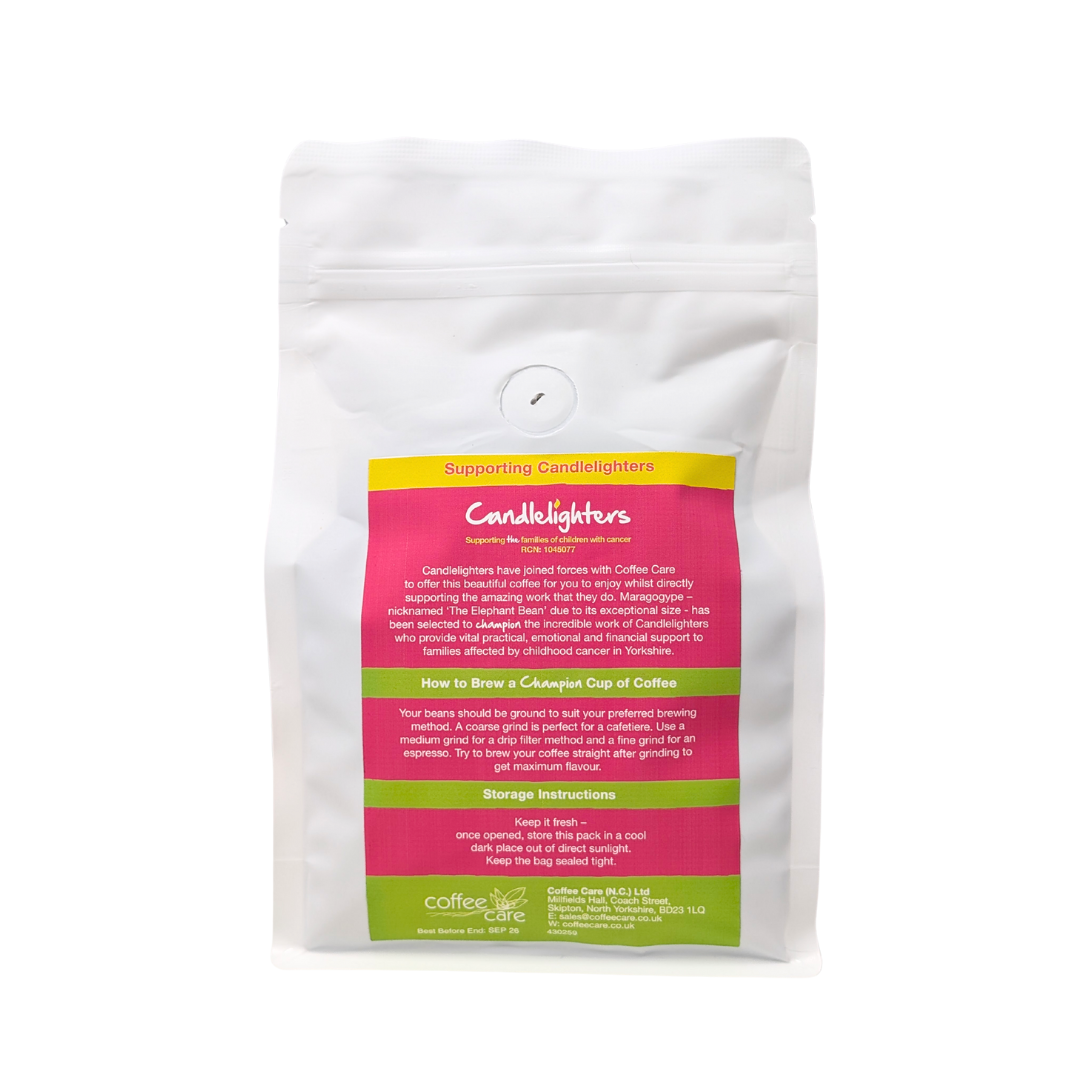 Champ's Coffee - Nicaraguan Maragogype Whole Beans – Coffee Care
